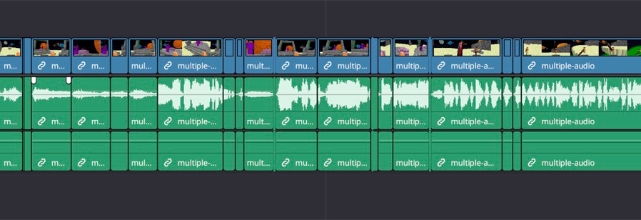 Importing XML With Multi Track Audio Into DaVinci Resolve